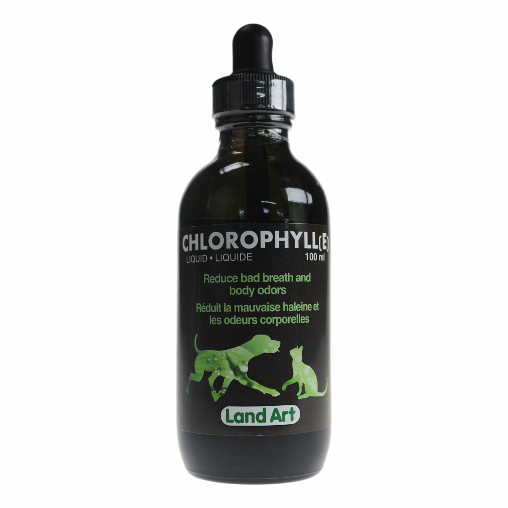 Chlorophyll for pets – Healthy Lifestyles